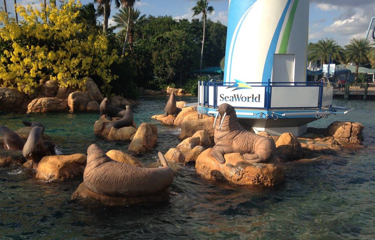 SeaWorld Orlando Re-Opening June 11- Welcome Back Sale! – Theme Park MoJu